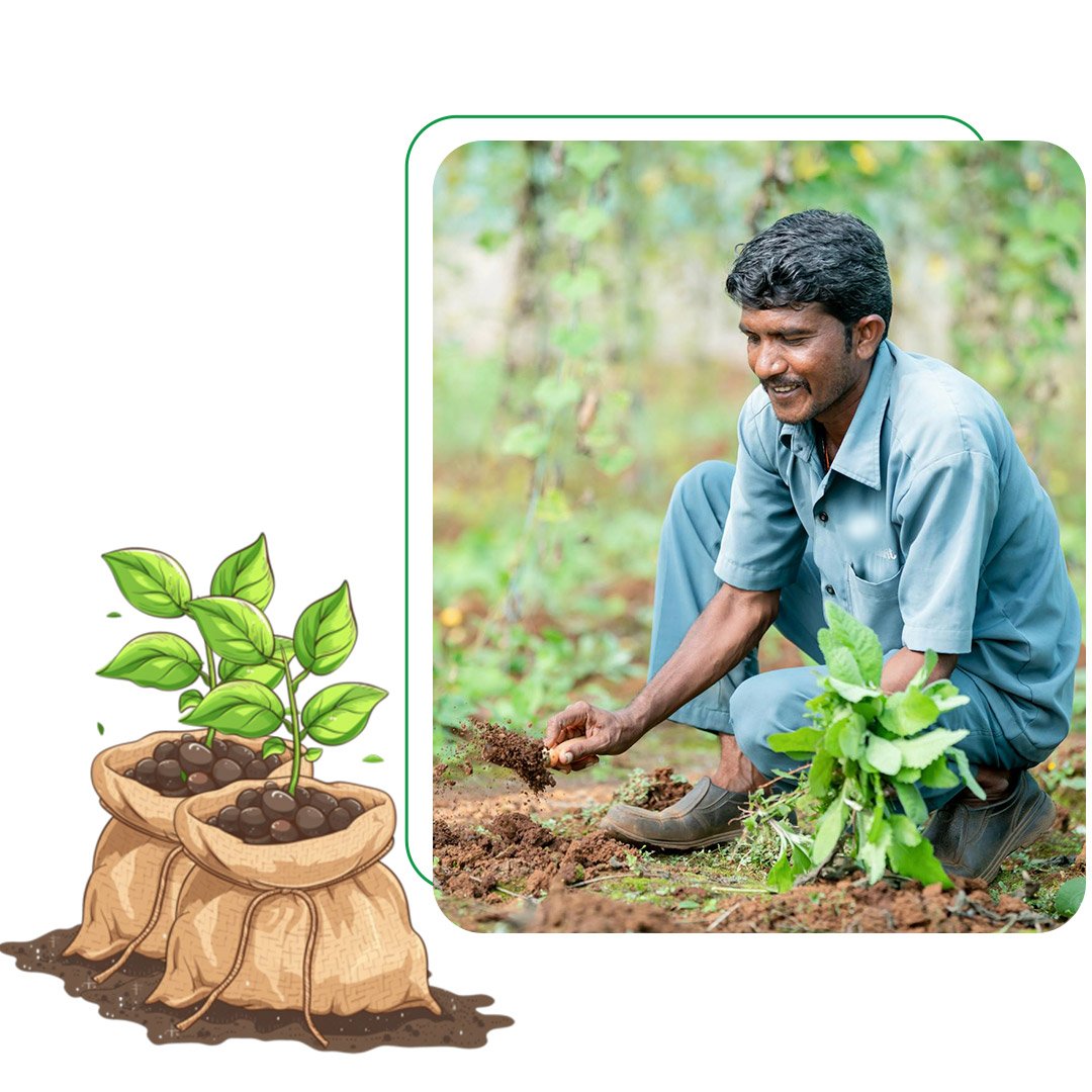 Gujarat Seeds Company